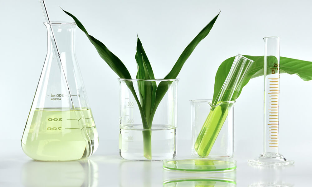 Bio-based chemicals – The future of renewable chemicals - Will & Co